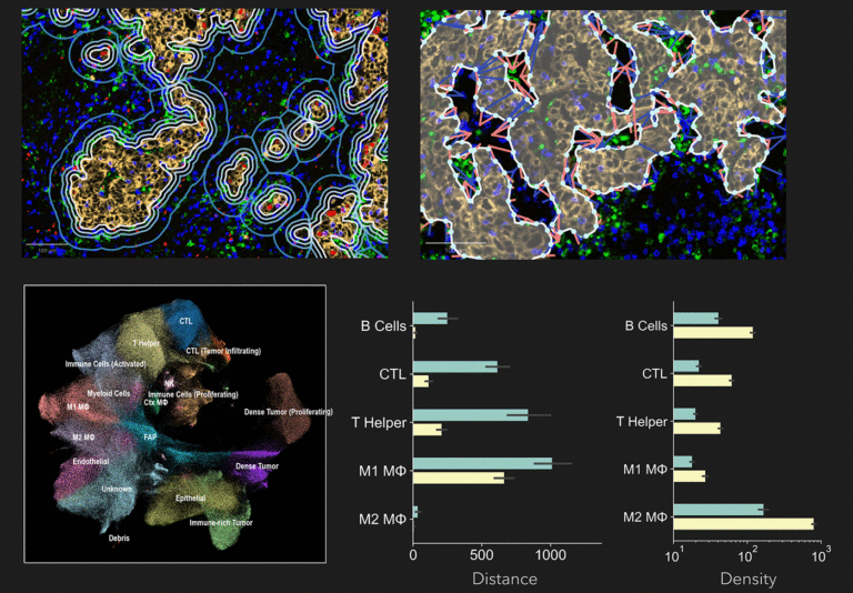Orion: Whole slide multiplexed imaging for Spatial Biology | RareCyte