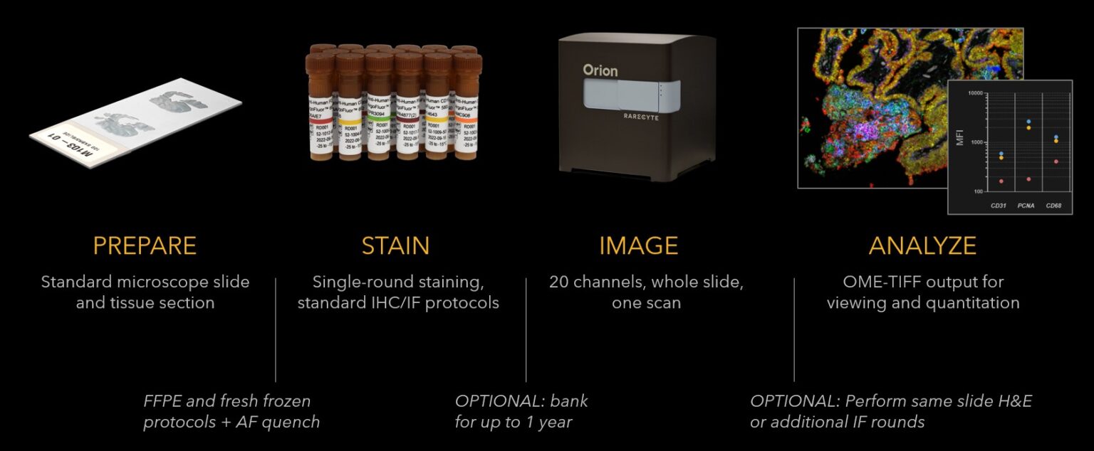 Orion: Whole slide multiplexed imaging for Spatial Biology | RareCyte